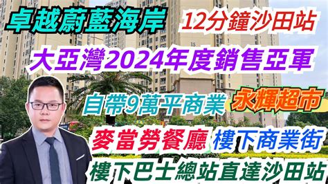 TONY睇樓團大亞灣臨深超百萬大盤卓越蔚藍海岸12分鐘沙田地鐵站專線巴士點對點自帶9萬平商業27萬平園林綠化79 109平三至
