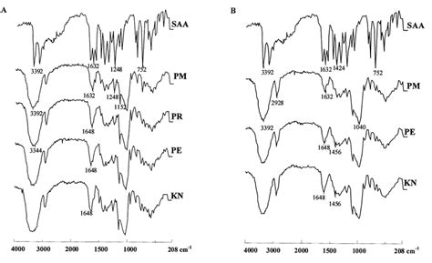 Ir Spectra Of β Cyclodextrin A And 2 Hydroxypropyl β Cyclodextrin B Download Scientific