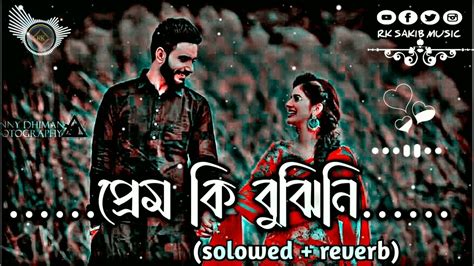 প্রেম কি বুঝিনি Lofi Song Solowed And Reverb New Bangla Song 2023