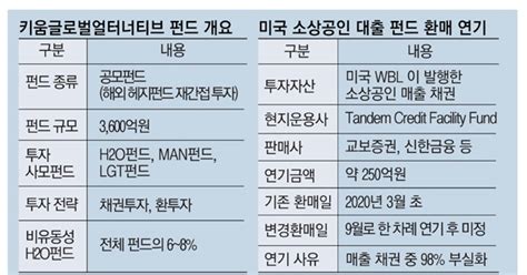단독 수익 높이려해외 헤지펀드 담았다 낭패