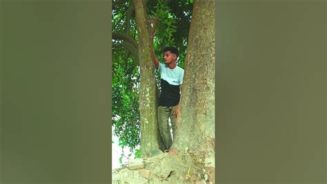 যে বয়সে আমাদের দাত৺ উঠতো সেই বয়সে ওদের মন ভেঙে যায় Funny Comdey Shorts Youtube