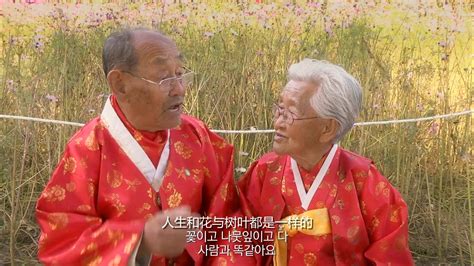 亲爱的不要跨过那条江 哔哩哔哩