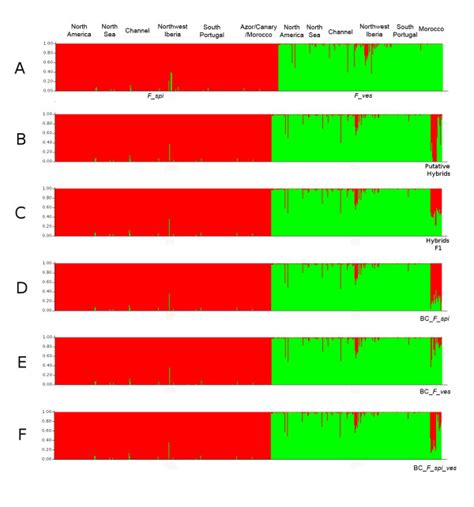 Microsatellite Detection Of Admixture Introgression Using The Program