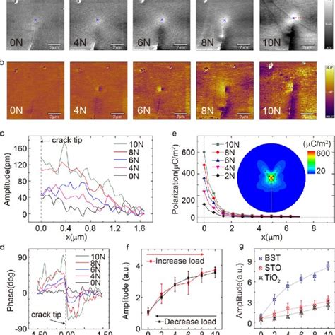 Evolution Of The Flexoelectric Polarization Around A Crack Tip In Sto