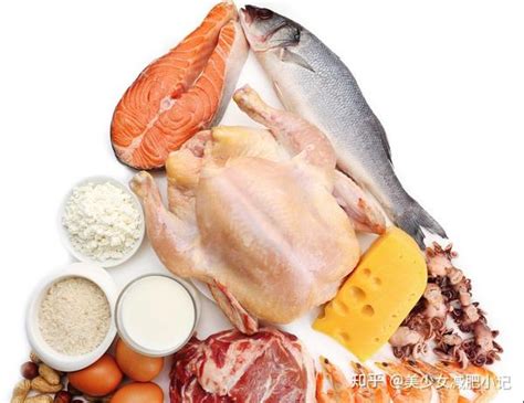 肥胖的6种类型减肥方法 饮食推荐想瘦的收藏 知乎