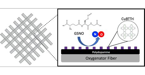 Surface Modification Of Oxygenator Fibers With A Catalytically Active