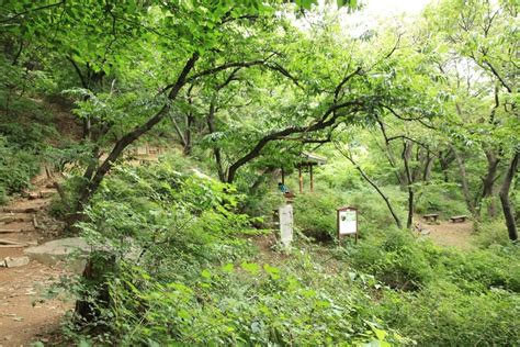 서울대공원 산림욕장 둘레길숲길 네이버 블로그