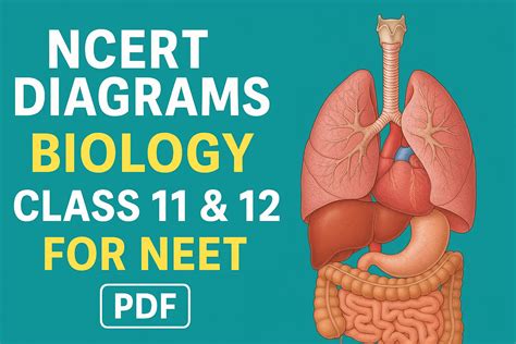 Neet Omr Sheet Pdf Download