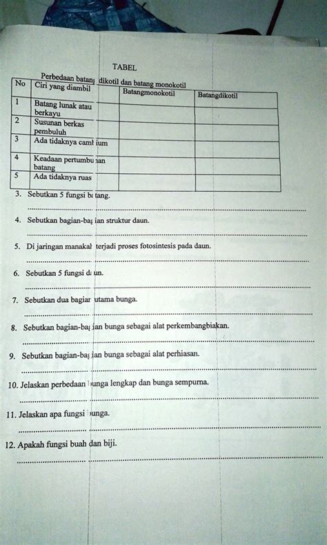SOLVED Tolong Dijawab Mulai Dari Tabel Sampai Nomor 12 Ya Makasih