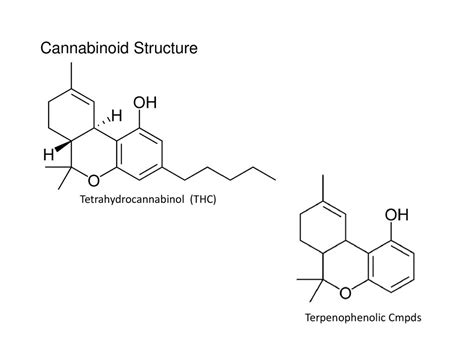 Molecular Reasons For Solution Formation Ppt Download