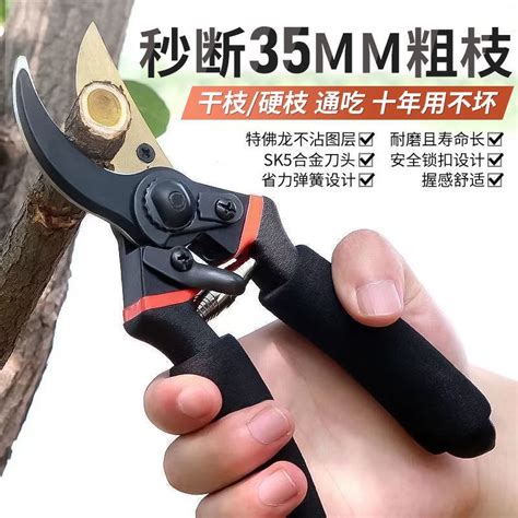 園林修枝剪刀 德國進口sk5強力園藝剪不銹鋼超省力修剪枝果樹粗枝樹枝專用剪子 蝦皮購物