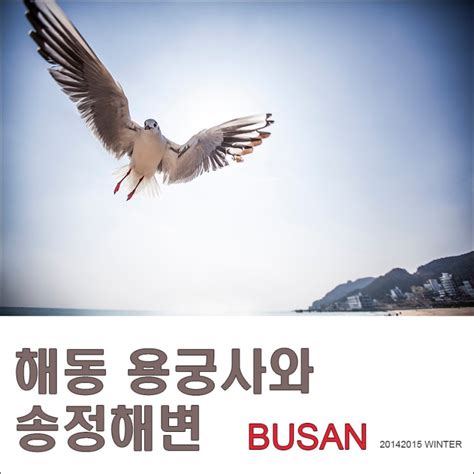 해동 용궁사와 송정해변 부산 네이버 블로그
