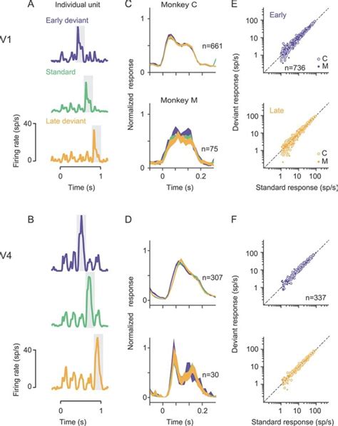 Limited Evidence For Sensory Prediction Error Responses In Visual