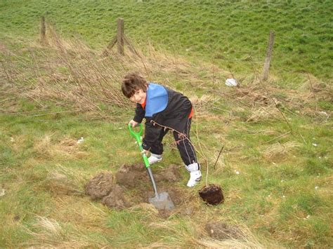 Tree Planting Activity In Hull Dialogue Society