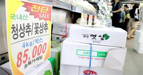 6월 생산자물가 02 떨어져전월비 석 달째 내리막