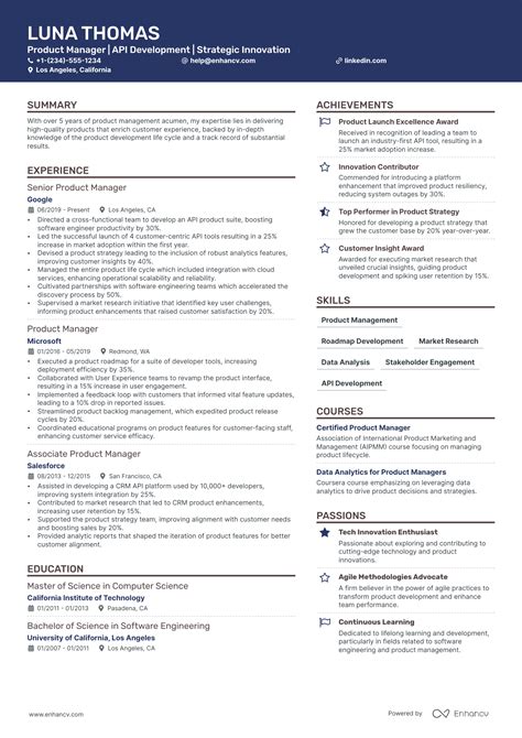 Api Product Manager Resume Examples Guide For