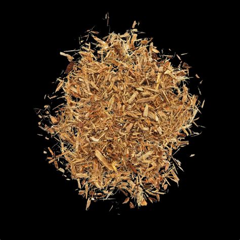 Bark Of Slippery Elm At Natalie Hawes Blog