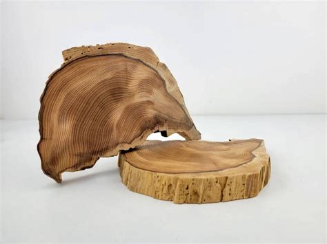 Yew Wood Slices Natural Yew Half Rounds Witch Craft Ritual Etsy