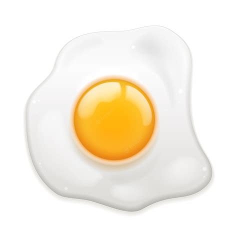 튀긴 계란 절연 무료 벡터