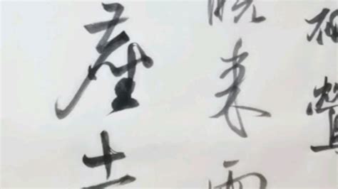 行草，苏轼词一首 Youtube