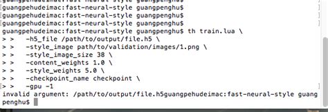 Invalid Argument Path To Output File H5 Issue 170 Jcjohnson Fast