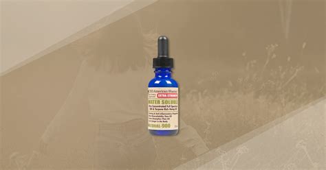 Water Soluble Vs Oil Based Cbd Active Cultures