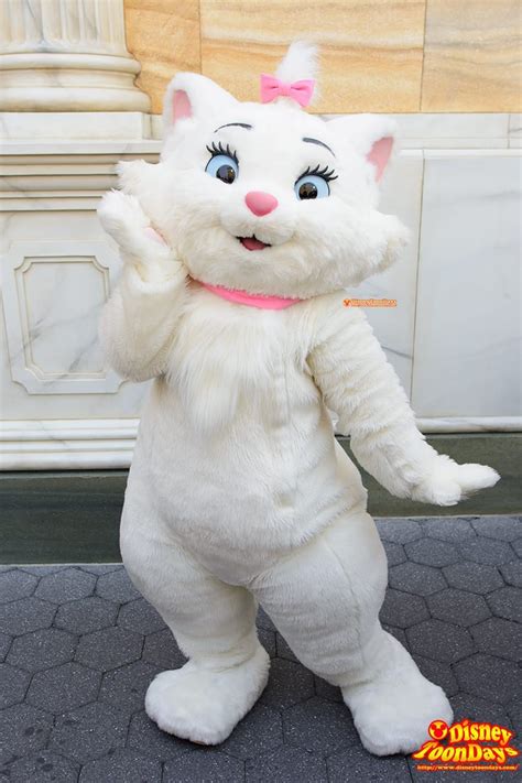 マリー 会える方法は？ 東京ディズニーランドとシーのグリーティング場所やショーパレ総まとめ ディズニーブログ【toondays】