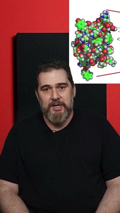 სევდიანი ბუზები Shortvideo Youtube