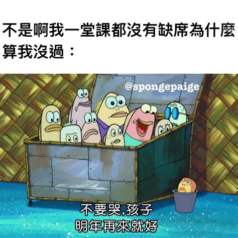 海綿梗圖 派哥 好啦兩分會給你啦 乞丐 海綿梗圖海綿寶寶梗圖哈哈笑死搞笑大學高中高職學分考試倒數學期難過老師