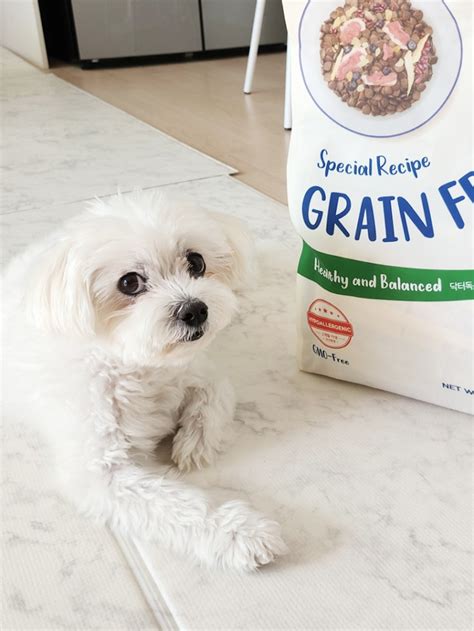 강아지 식이 알러지사료 닥터독 신제품 그레인프리 사료 추천 네이버 블로그