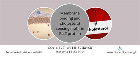 Membrane Binding And Cholesterol Sensing Motif In Ftsz Protein Biopatrika