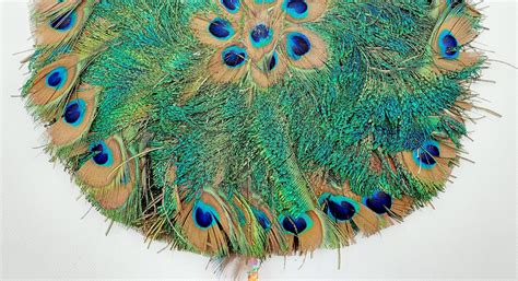 Vintage Peacock Fan Sally Antiques