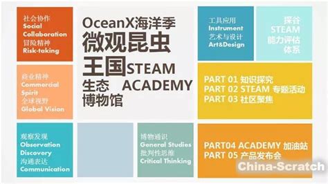 和建筑师、艺术家、设计师、工程师一起上的课程，steam学期安排及报名福利来啦scratch少儿编程网