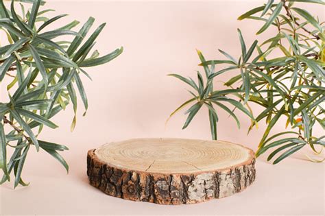 에코 제품의 프리젠 테이션을위한 나무 연단 베이지 색 배경에 천연 나무로 만든 쇼케이스 Championship에 대한 스톡 사진 및 기타 이미지 Championship