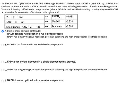 Solved In The Citric Acid Cycle NADH And FADH2 Are Both Chegg