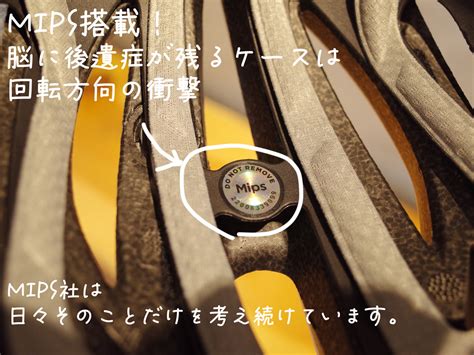 Giro Syntax Mips 製品チェック Giro Cycling ジロ サイクリング 日本公式サイト
