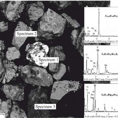 Electron Microscopy Of Gold Bearing Multimetal Ore Specimen And