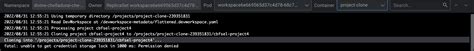 Workspace Fails And Starts Several Times Not Sure Why · Issue 21668