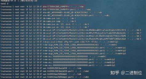 玩转pve 给黑群晖进行硬盘直通 知乎