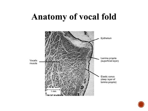 Benign Laryngeal Lesions Managements Pptx