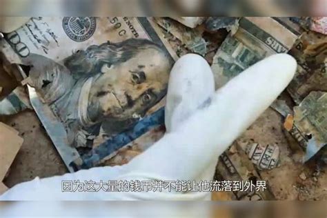 银行里作废的人民币，最后都怎么处理了？网友：看着都心疼
