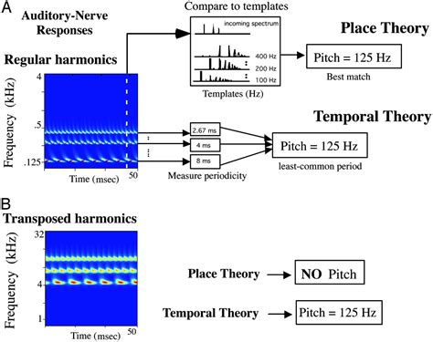 Topographic Organization Is Essential For Pitch Perception Pnas