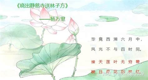 描写夏天的古诗和名句书图 知乎