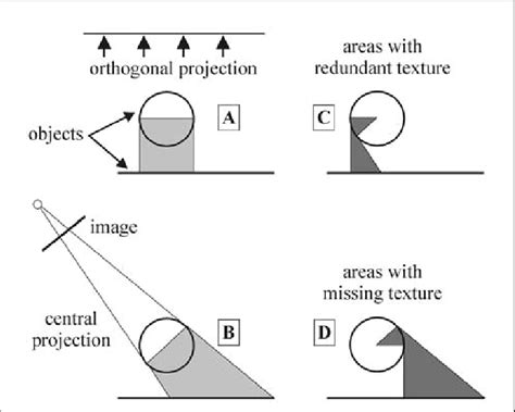 The Question Of Occlusion A Surface Occlusion In The Direction Of Download Scientific Diagram