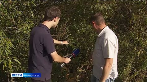 Артемовским лугам в которых обитают 129 видов видов краснокнижных животных могут присвоить