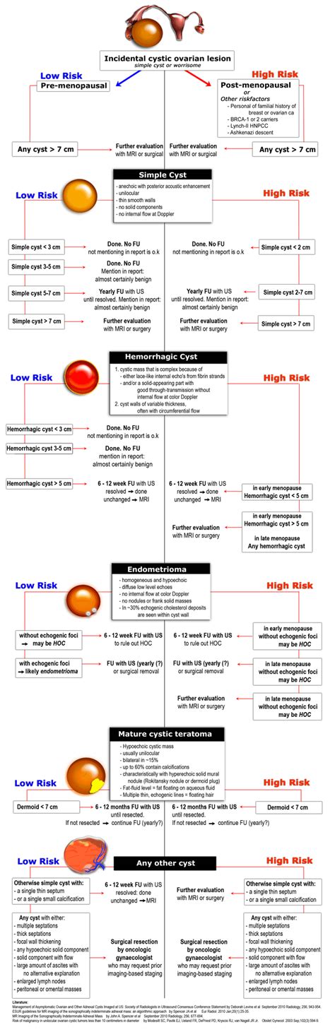 Pathophysiology Of Ovarian Cancer In Flow Chart A Visual Reference Of
