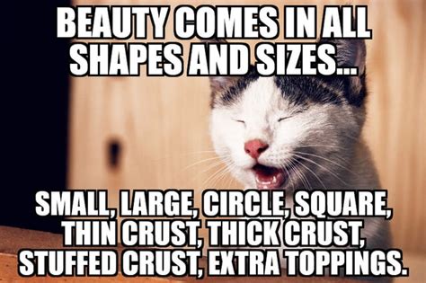 Cassius The Comedian Cat Joke 2558 Rcassiusthecomediancat