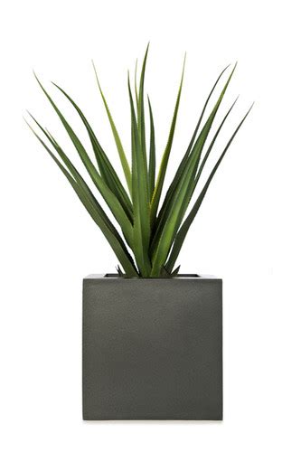 Artificial Pandanus With Geo Cube Planter