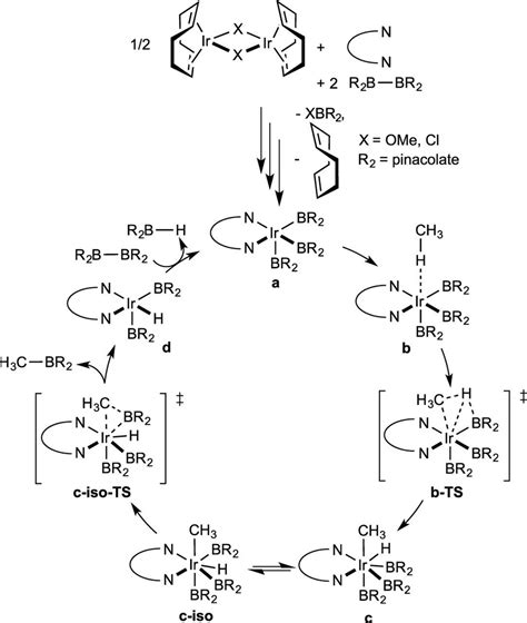 [seminar]new Developments In Low Valent And Early Transition Metal Ions Metal Ligand Multiple