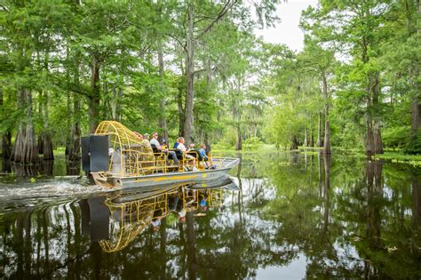 Mcgees Louisiana Swamp And Airboat Tours
